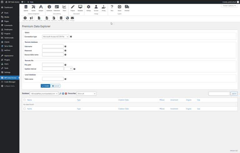 MS Access | WP Data Access